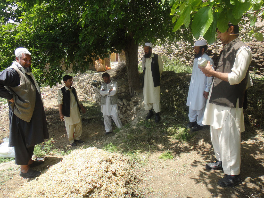 Help 50 Afghan Farmers Plant Fruit Trees - GlobalGiving
