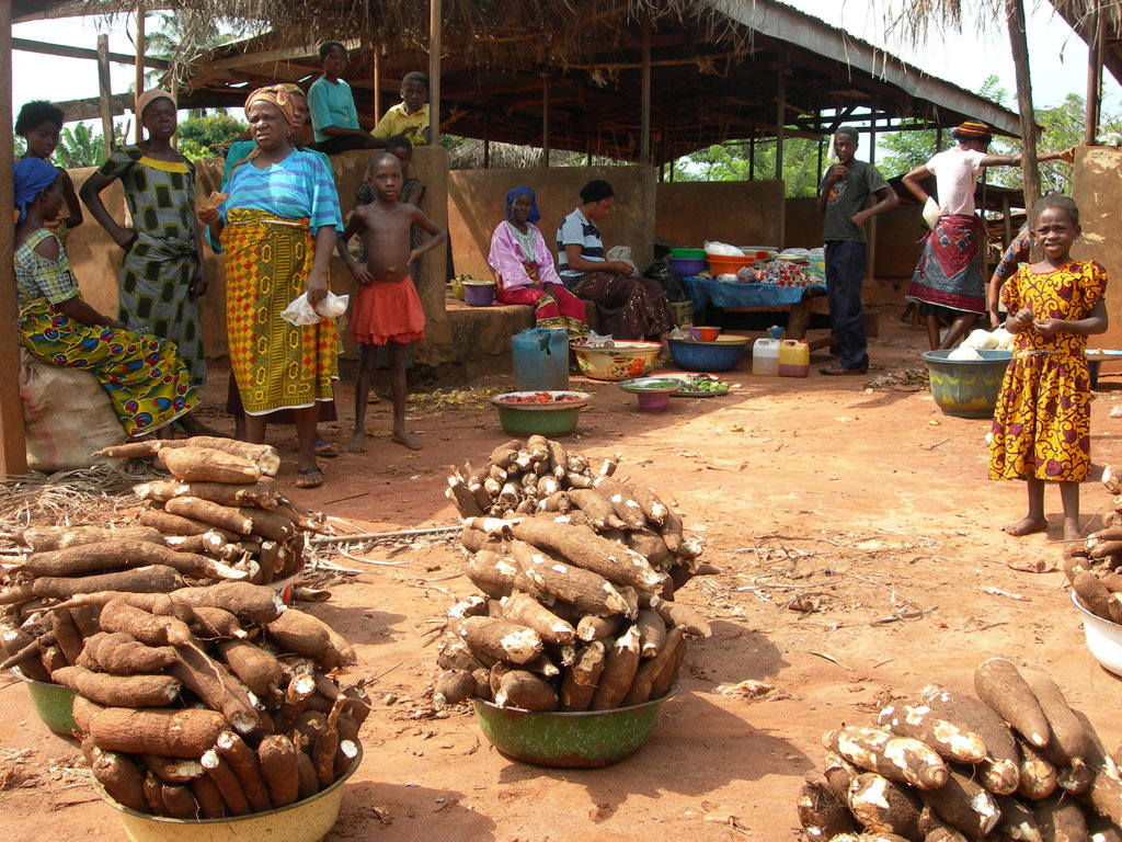 Planting Trees and Seeds of Hope in Nigeria - GlobalGiving