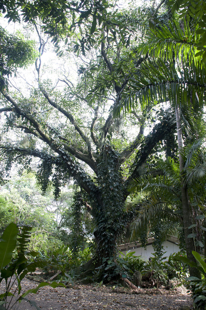 Building an Immersion Aviary - an educational tool - GlobalGiving