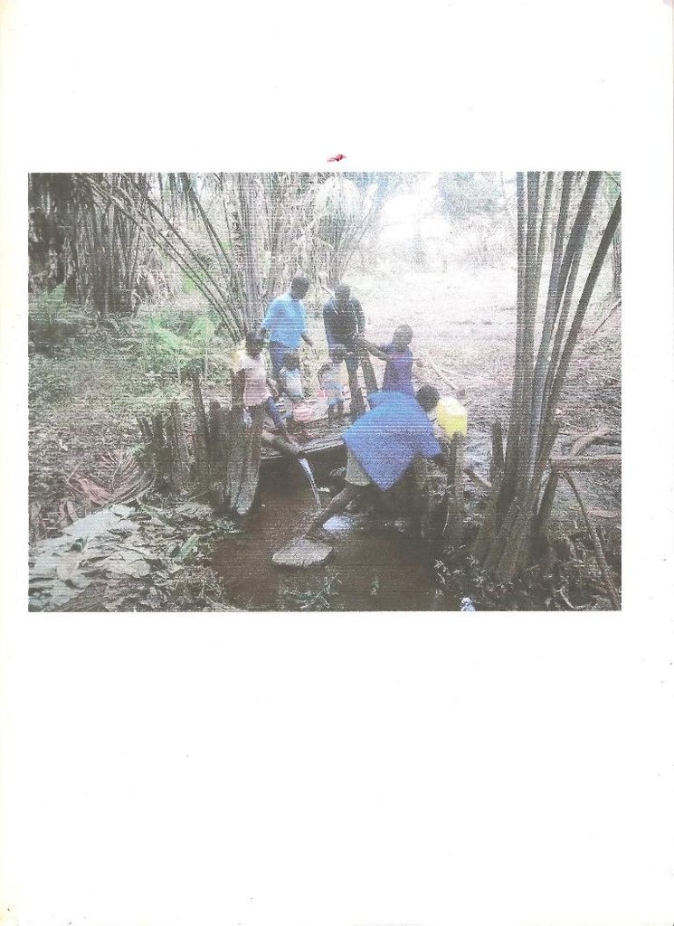 Provide Clean Water to Rural Communities in Kumbo - GlobalGiving