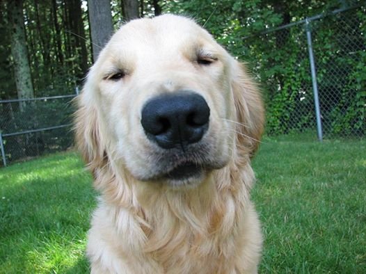 How to Share YGRR C.A.R.E. Program - GlobalGiving