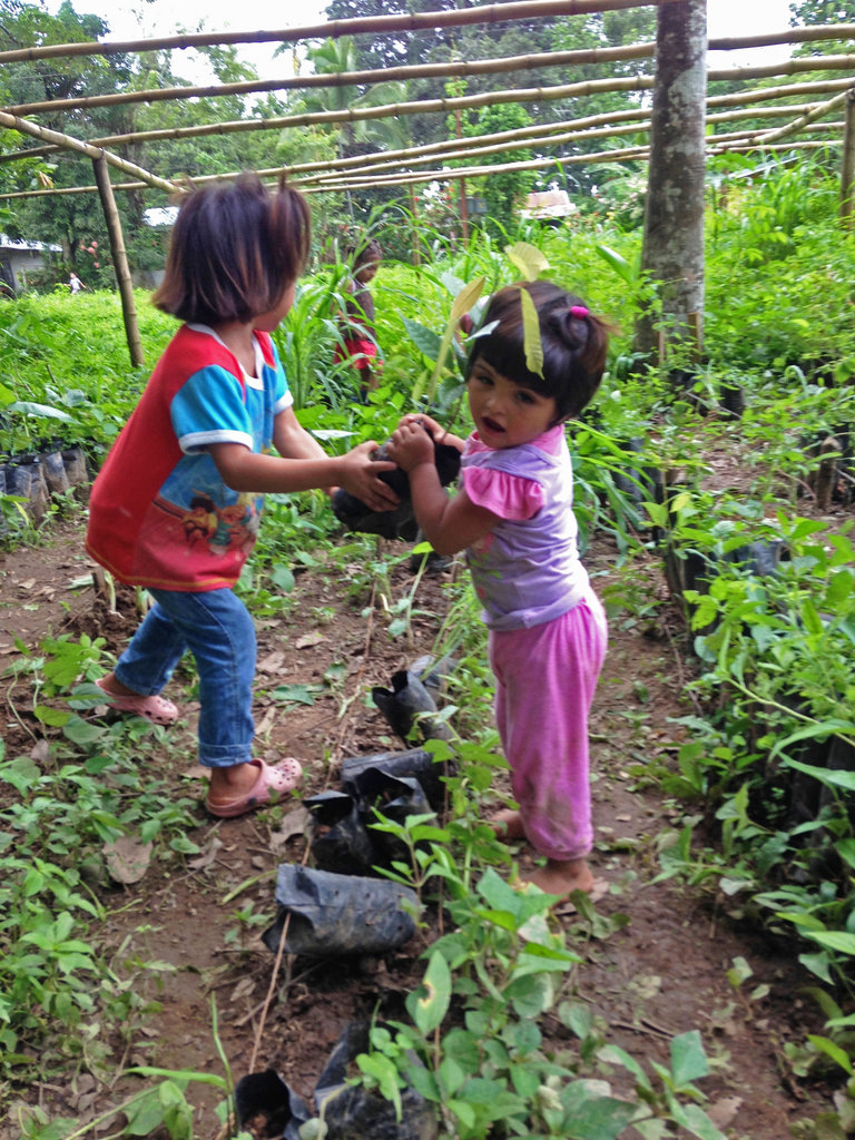 Engaging Minds: Planting Trees, Inspiring Youth - GlobalGiving