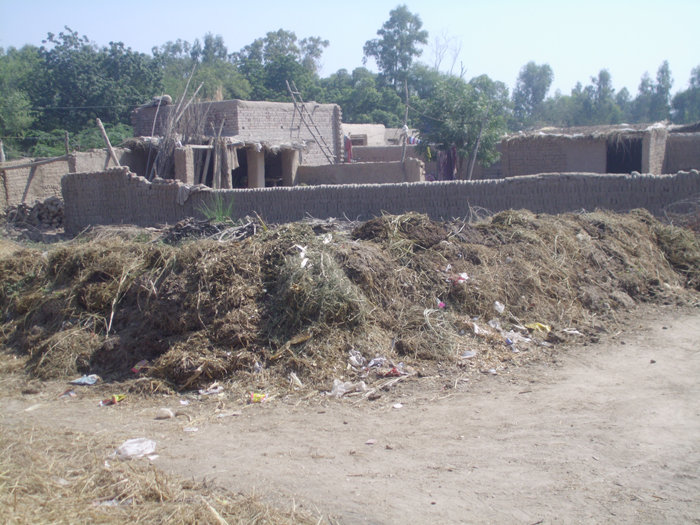 Provide Housing Colony To 96 Homeless Families - GlobalGiving