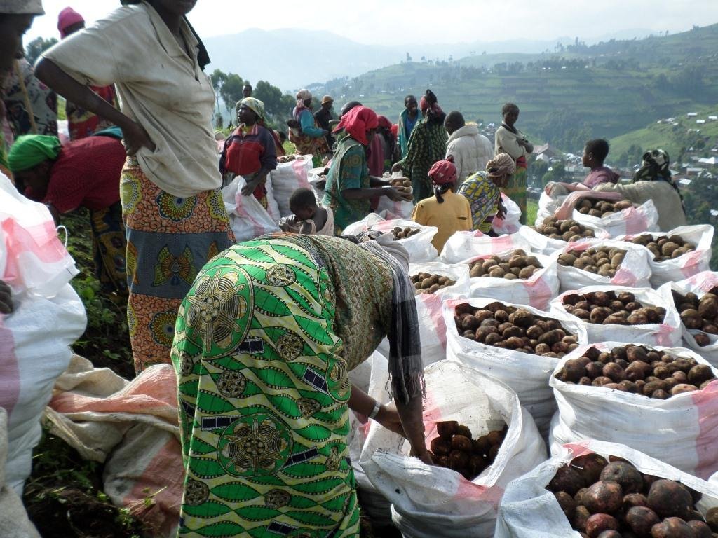 Donate to Empowering 100 Returnees Women of Kibabi - GlobalGiving