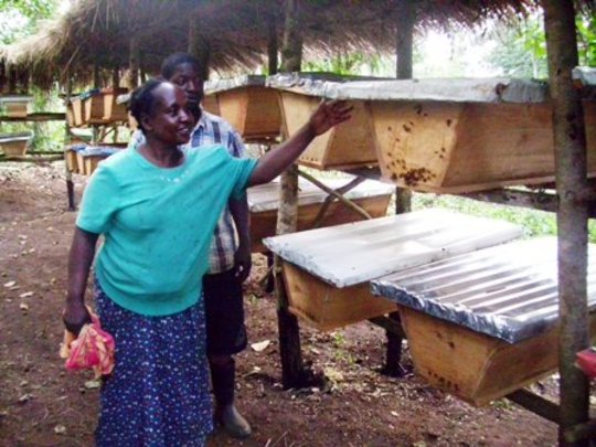 Empower 40 Rural Women in Bee Keeping in Uganda - GlobalGiving