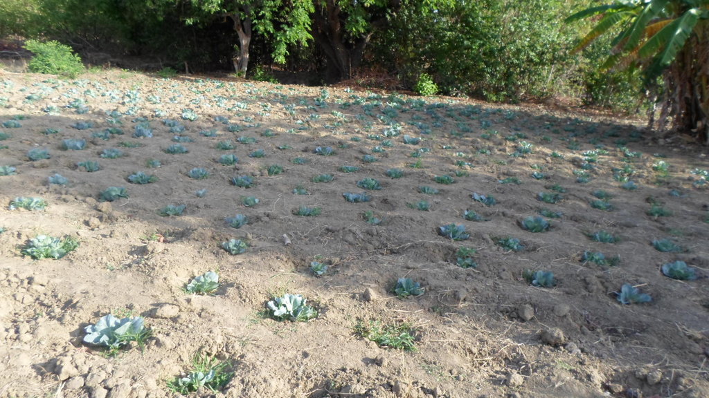 Water for Life for people in Simanjiro District. - GlobalGiving