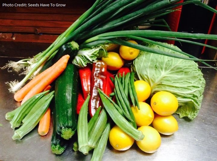 Feed 3,000 Poor Filipino Kids w/ Fresh Vegetables - GlobalGiving