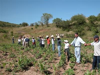 Grow Clean Food & Harvest Water in Rural Oaxaca - GlobalGiving