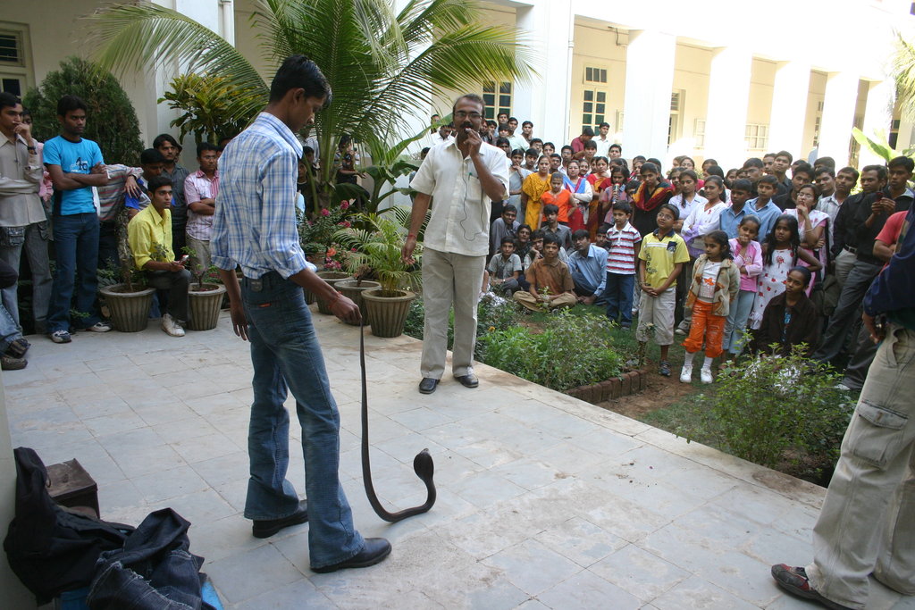 Saving Lives, Human-Snake Conflict Mitigation - GlobalGiving