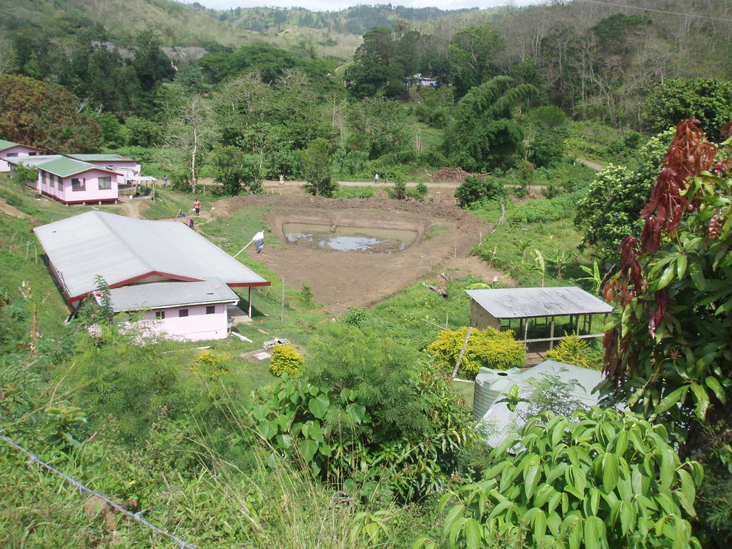 Happy Chickens for Food Security and Environment - GlobalGiving