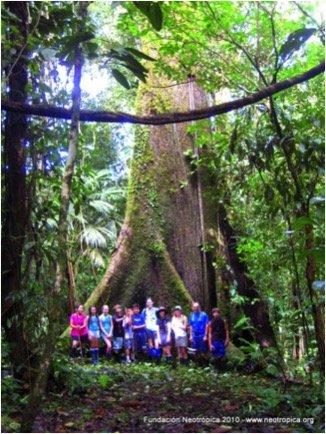Empower Environmental Leaders in Costa Rica - GlobalGiving