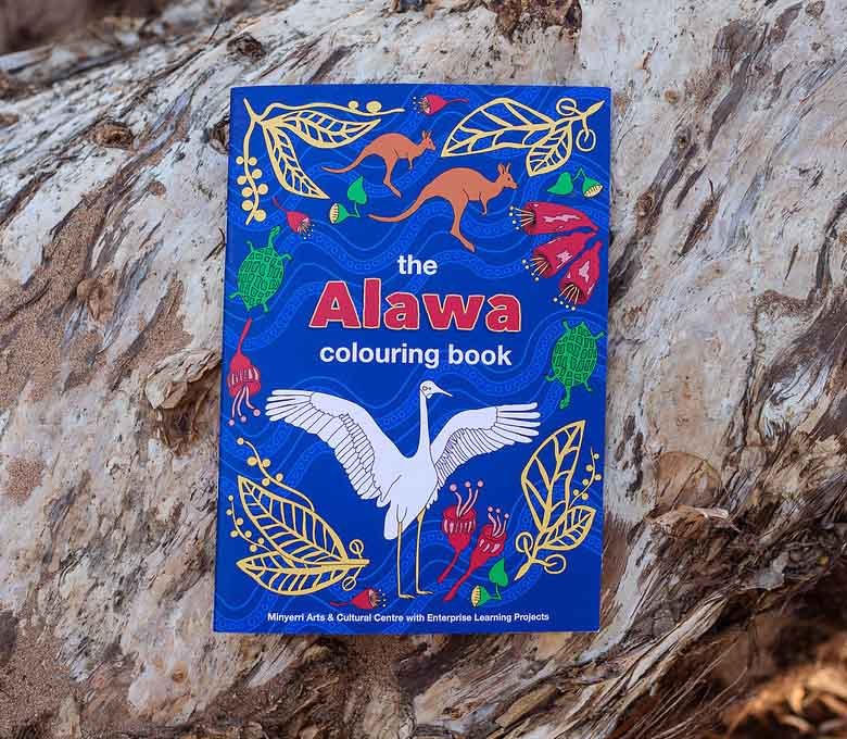 Reports on Fostering Aboriginal entrepreneurship - GlobalGiving