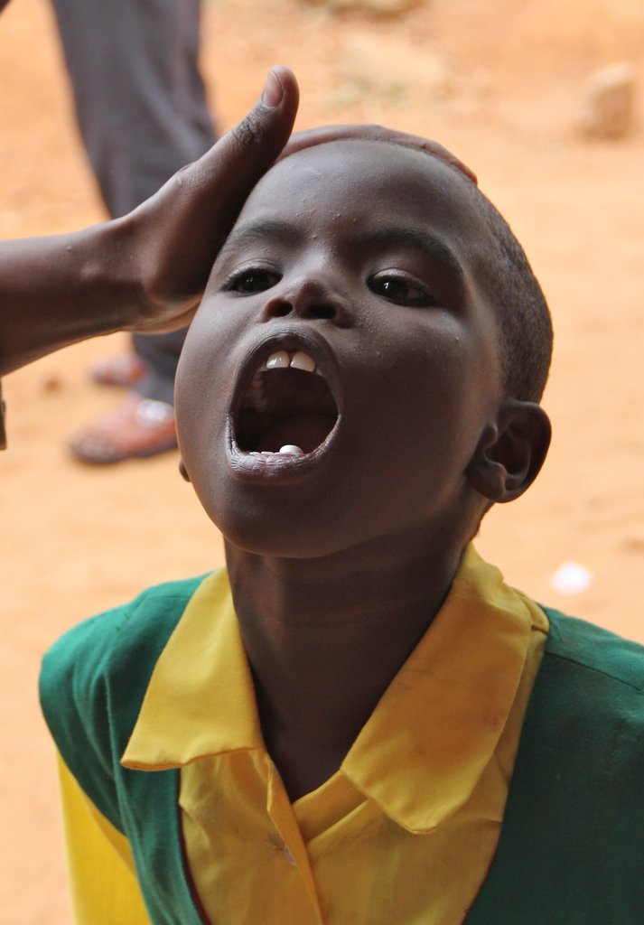 What's Under the Tree in Wamunyu, Kenya? - GlobalGiving