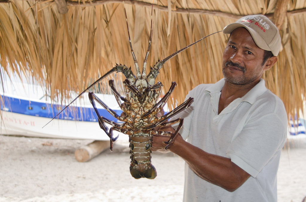 Blast fishing awareness and quick response program - GlobalGiving