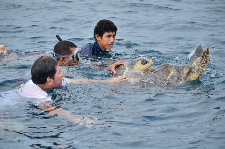 Blast fishing awareness and quick response program - GlobalGiving