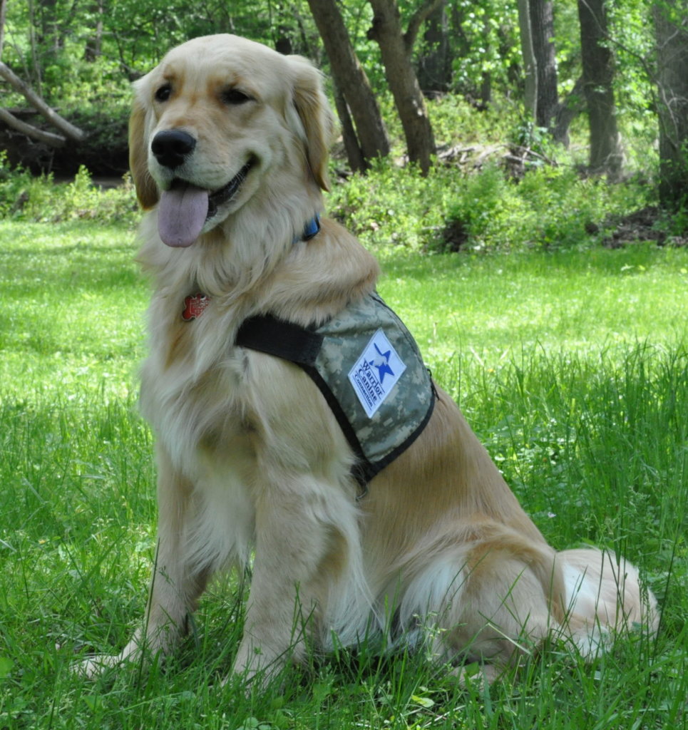 Fund a Warrior Canine Connection Service Dog - GlobalGiving