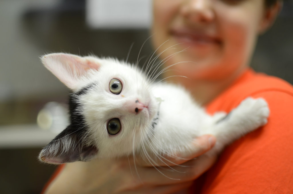 Come to Their Rescue - GlobalGiving