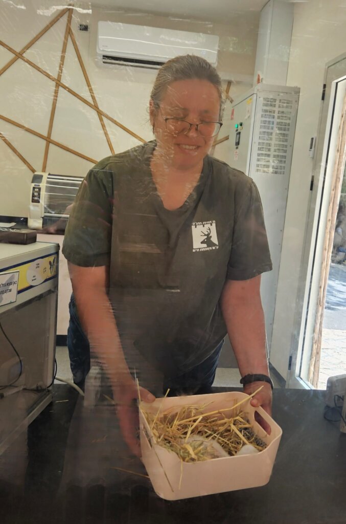 Reports on Save Israel's Birds of Prey - GlobalGiving