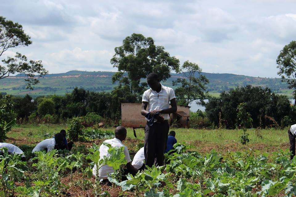 Fruit trees for sustainable livelihoods in Uganda - GlobalGiving