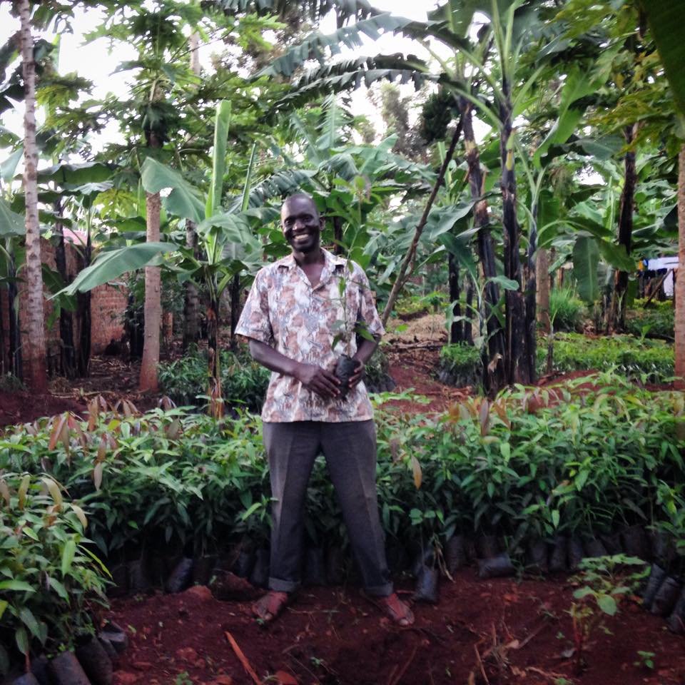 Fruit trees for sustainable livelihoods in Uganda - GlobalGiving