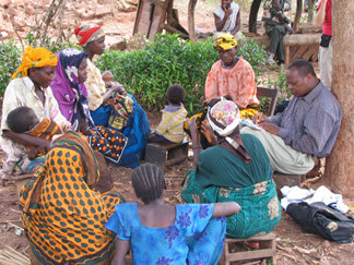 Gombe School of Environment and Society (GOSESO) - GlobalGiving