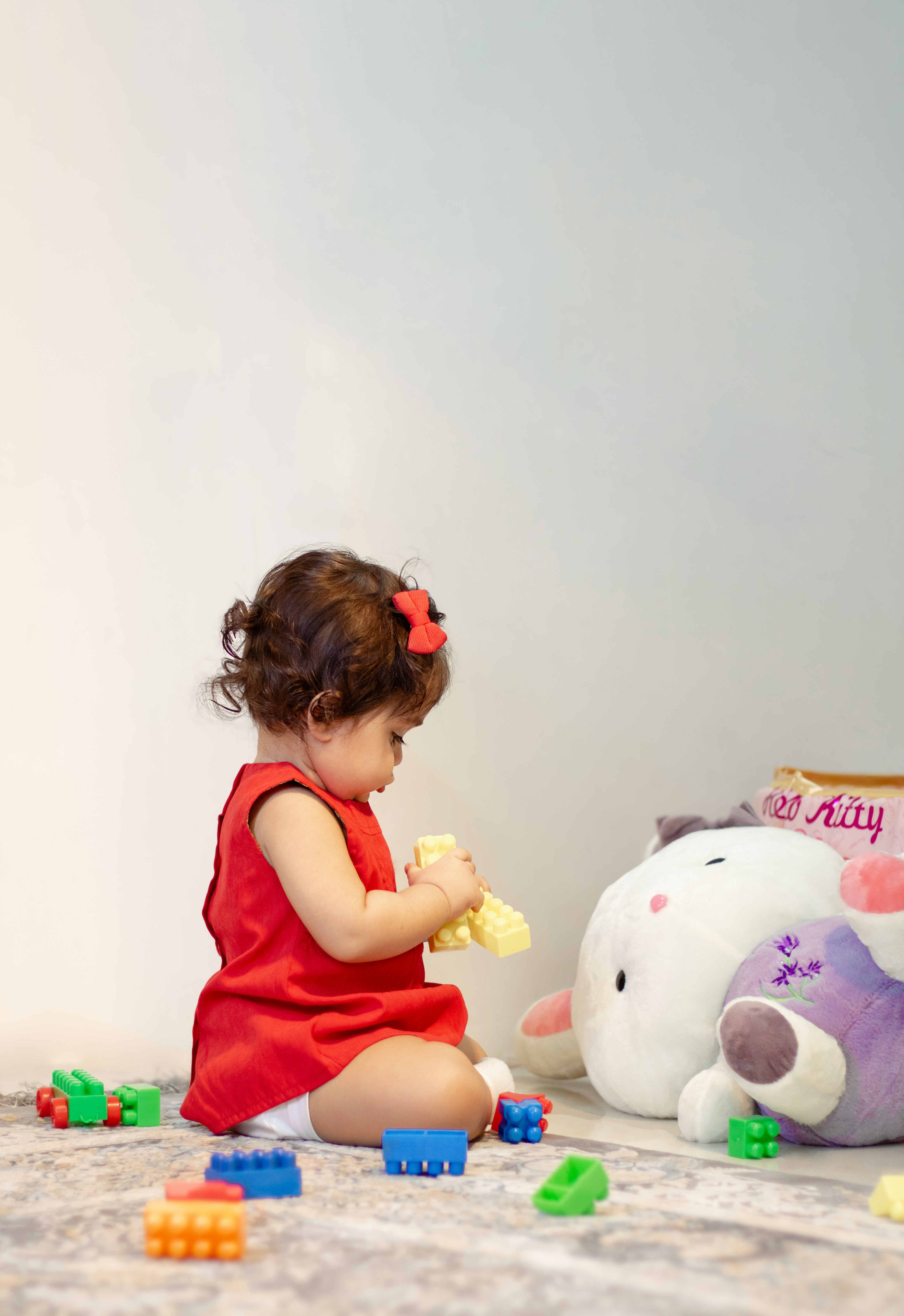 Photos from Help Rescue 500 Battered Women And Their Children ...