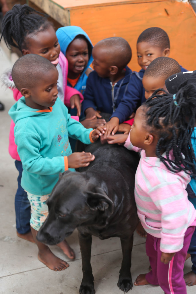 Reports on Early Childhood Development in South Africa - GlobalGiving