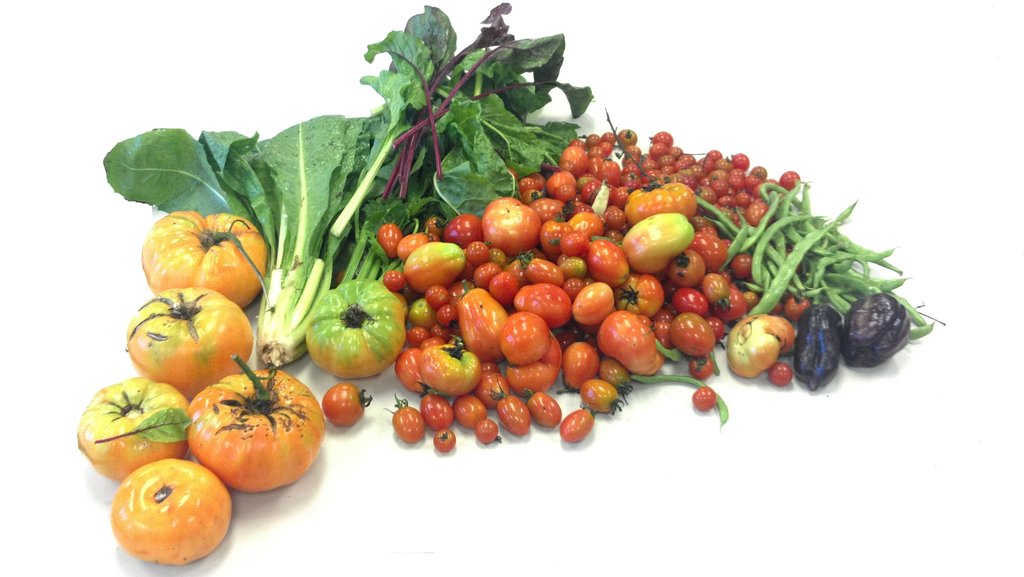 AmpleHarvest.org - No Food Left Behind - GlobalGiving