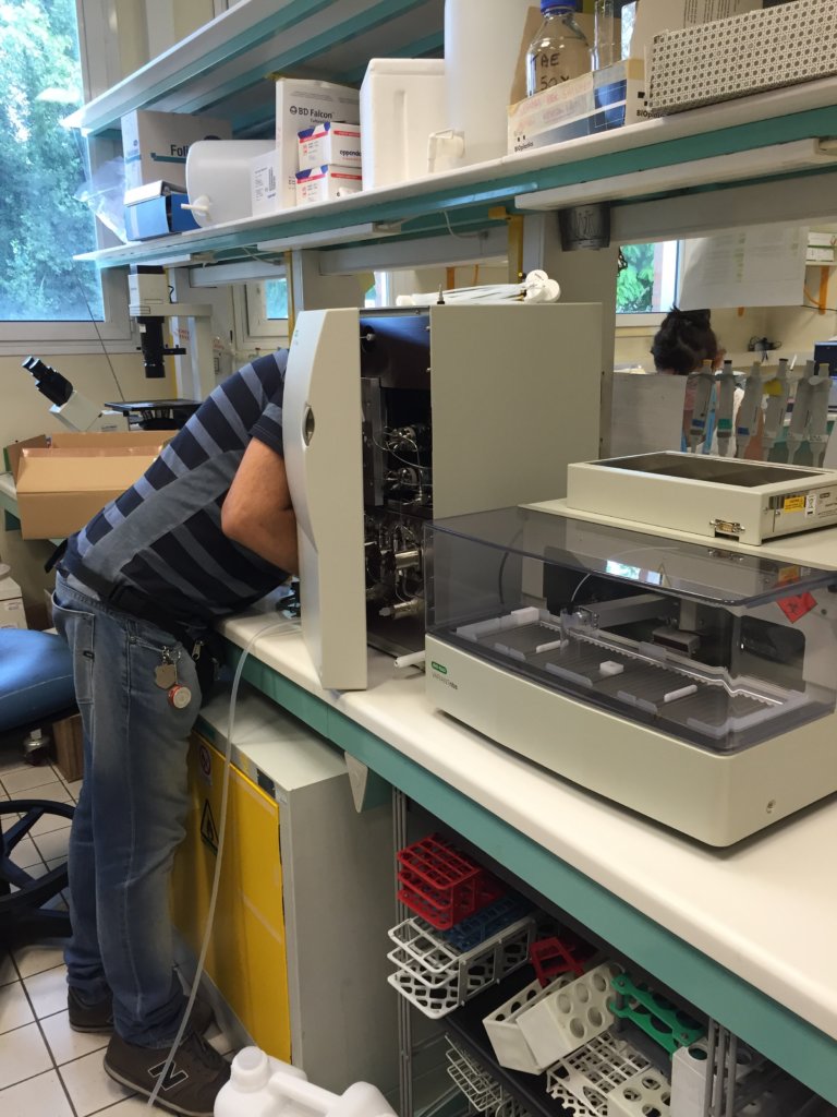 Reports on NEWBORN SCREENING FOR SICKLE CELL DISEASE - GlobalGiving