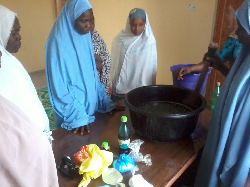 Educate 600 Women & Girls in Kumbotso and Okehi - GlobalGiving