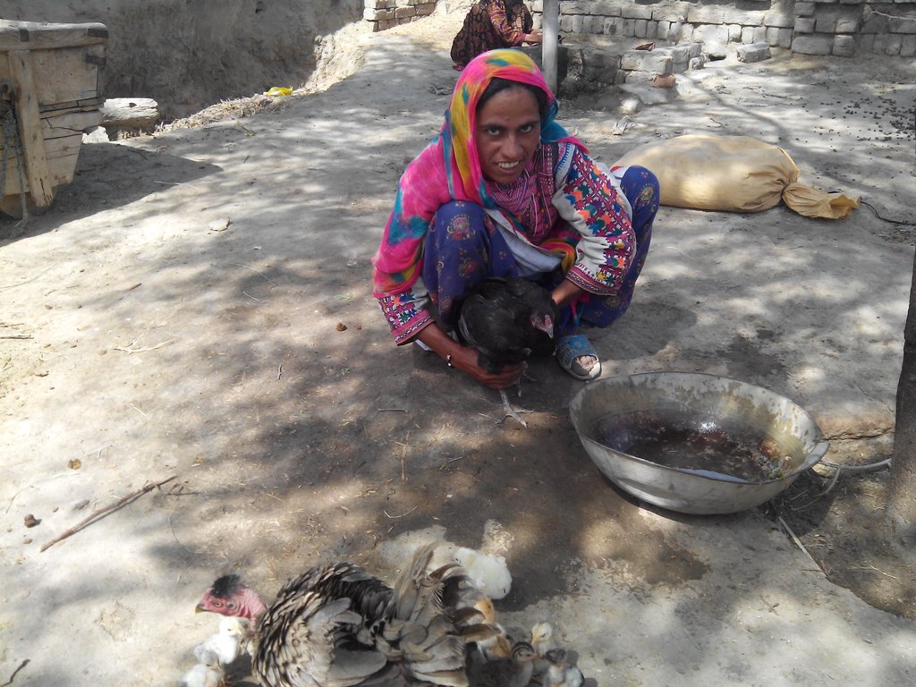 Restore the Livelihoods of 500 Ultra-Poor Families - GlobalGiving