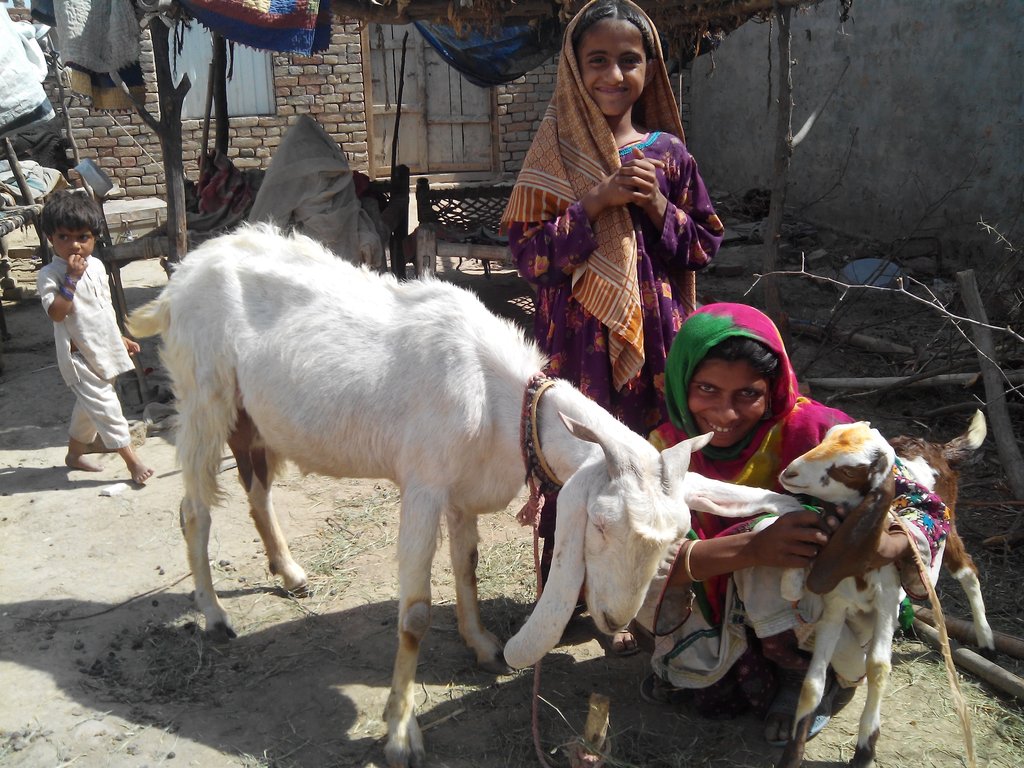 Restore the Livelihoods of 500 Ultra-Poor Families - GlobalGiving