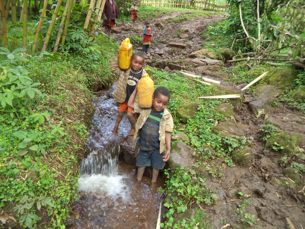 Bring clean water to an Ethiopian village of 1729 - GlobalGiving