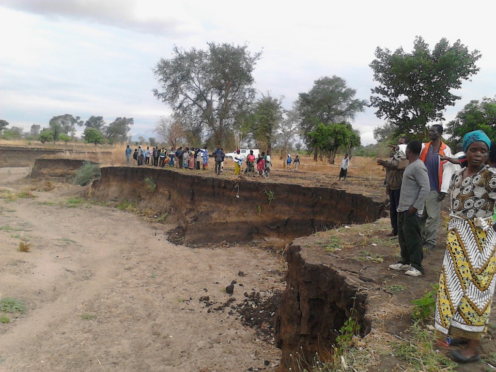 Promote afforestation to improve climate change - GlobalGiving