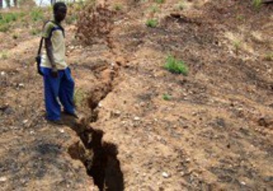 Promote afforestation to improve climate change - GlobalGiving