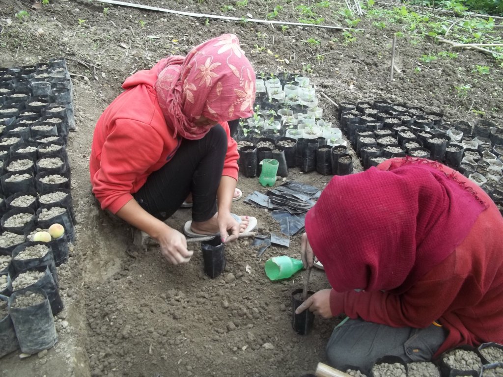 Afforestation and Eco-Development Project - GlobalGiving