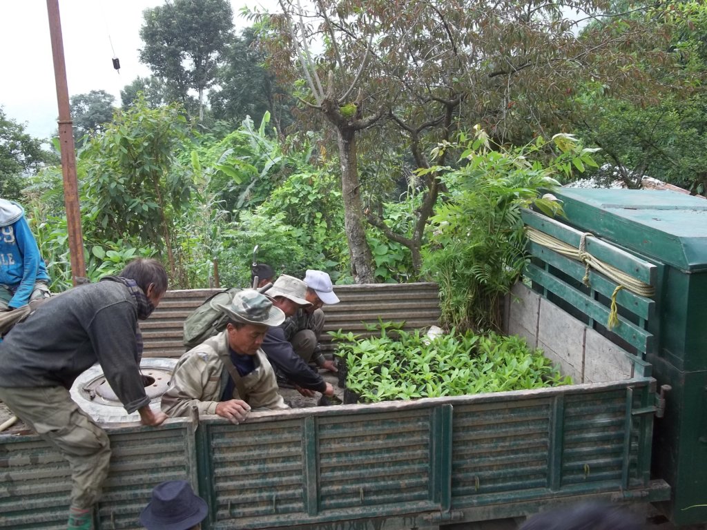 Afforestation and Eco-Development Project - GlobalGiving