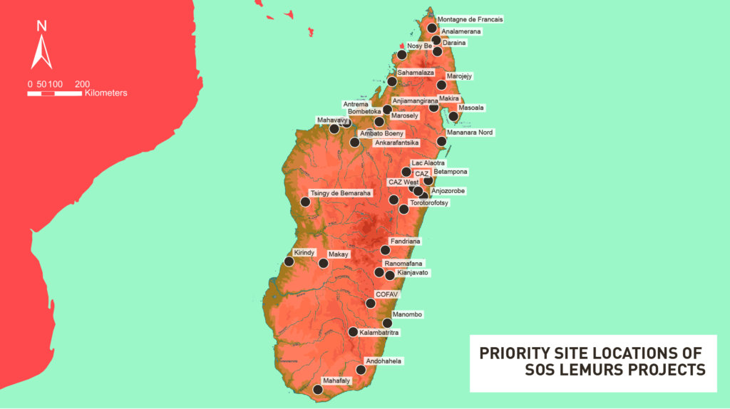 Reports on Help SOS save Madagascar's Lemurs and Communities - GlobalGiving
