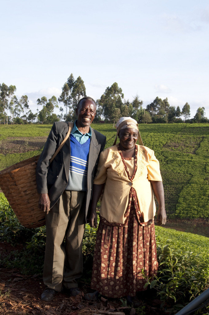 Planting Trees in Kenya - GlobalGiving