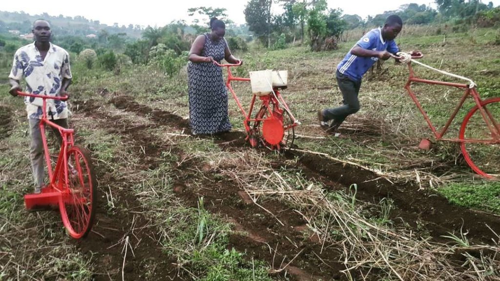 Reports on Support Set Her Free: Empower Ugandan Women - GlobalGiving