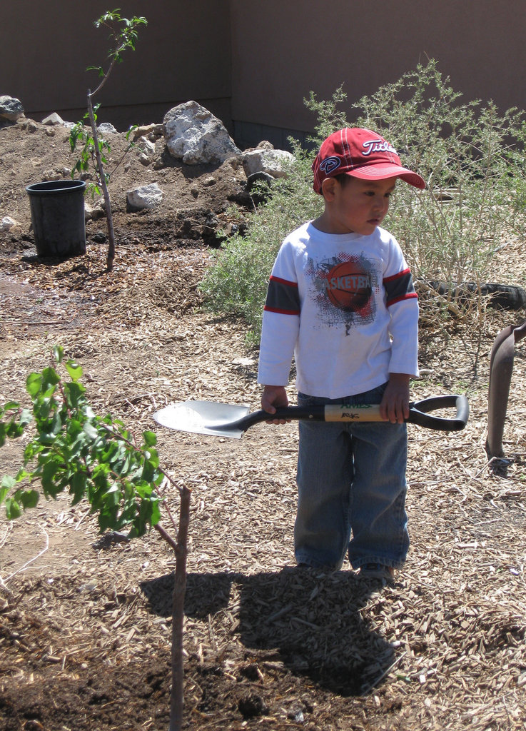 Bring Fruit Trees to Native American Reservations - GlobalGiving