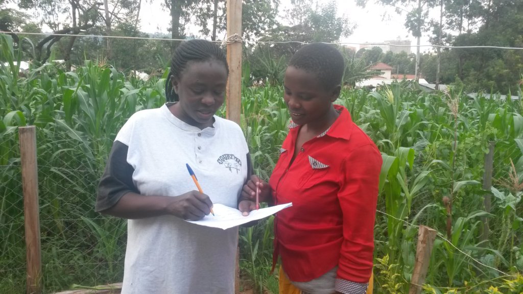 The Captivating Foster Family Micro-Loans Program - GlobalGiving