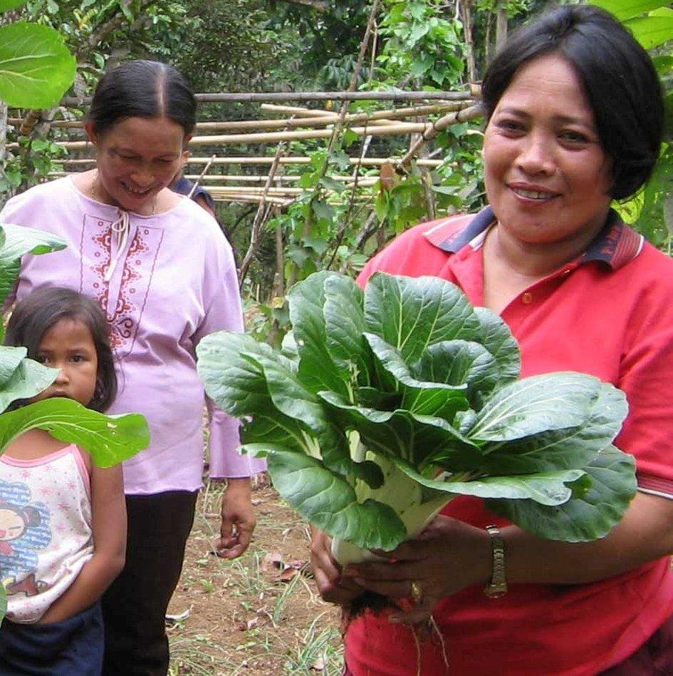 500 Farmers Go Organic Farming-Philippines - GlobalGiving
