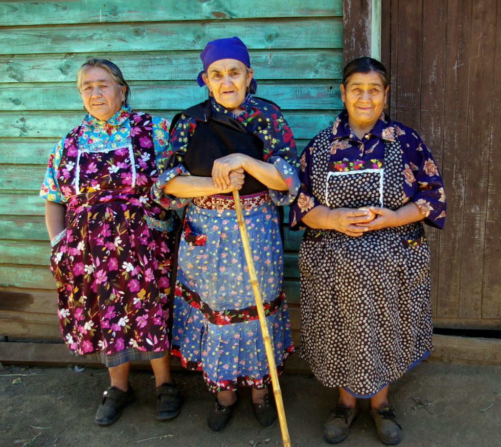 Textile Skills for Mapuche Women in Chile - GlobalGiving