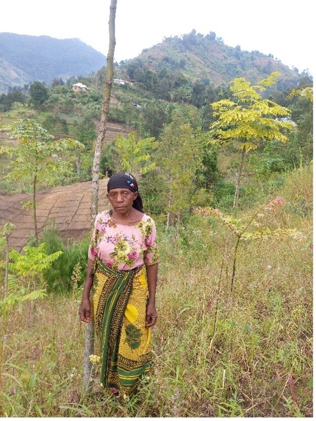 Reports on APOPO HeroTREEs - a Climate-Smart Solution - GlobalGiving