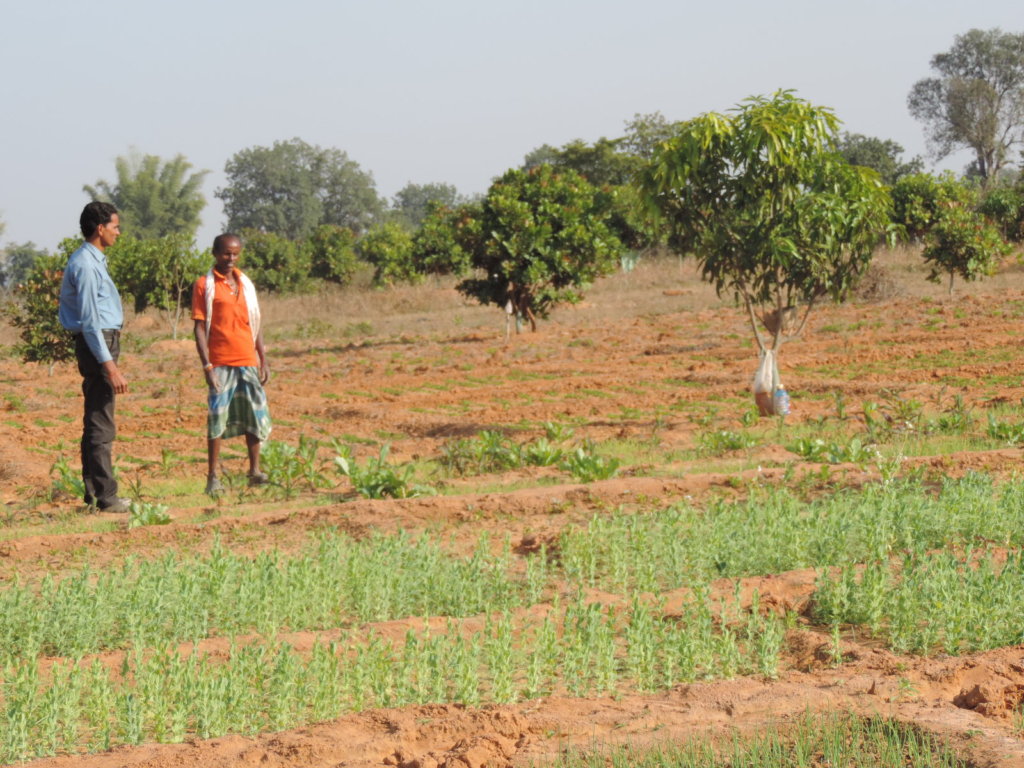 Agriculture Development Initiative in Tribal Areas - GlobalGiving