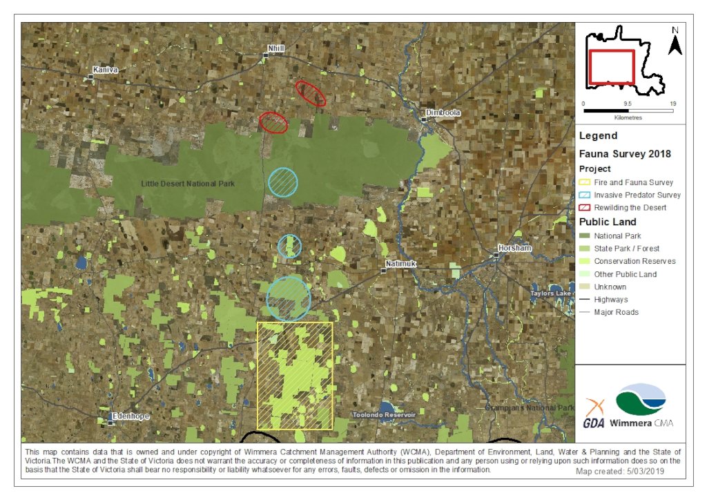 Reports on Rewilding the Desert: saving threatened species - GlobalGiving