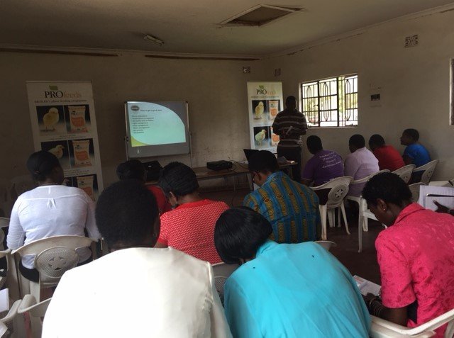 Empower 100 Less Privileged Women in Zimbabwe - GlobalGiving