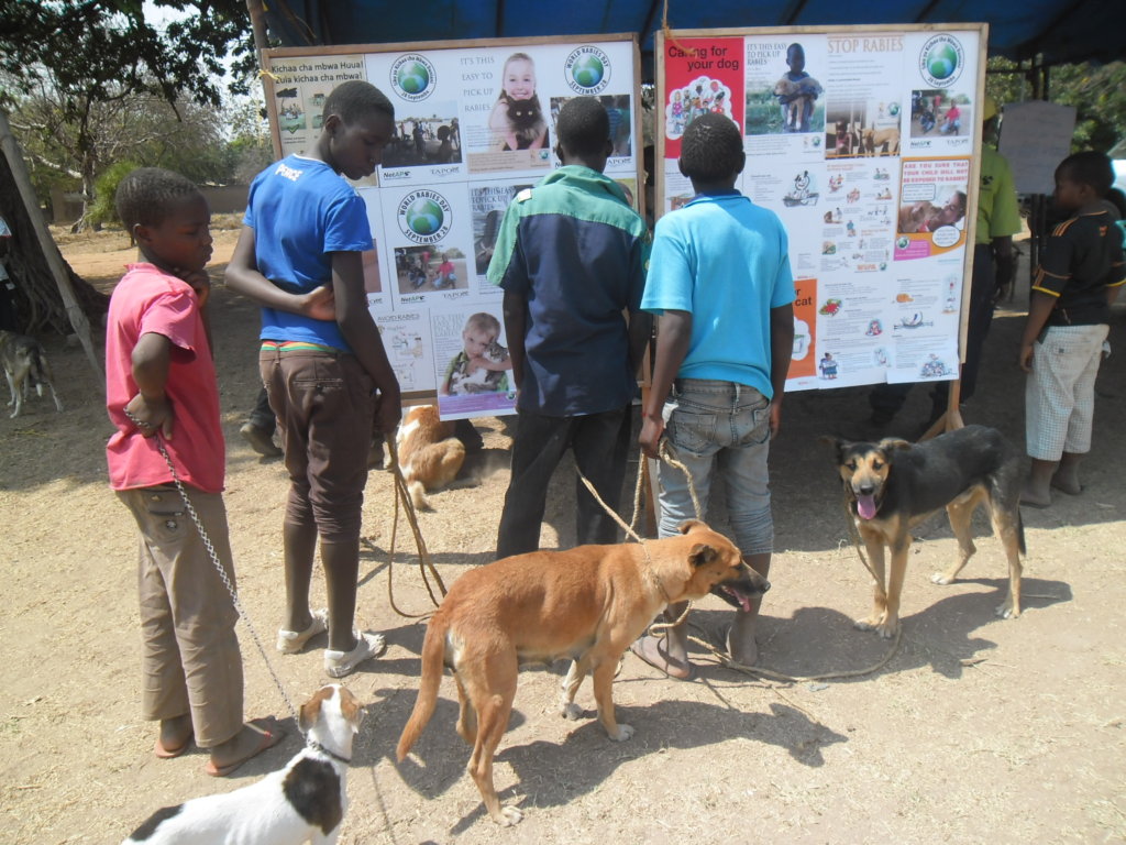 Children Against Rabies Disease - GlobalGiving