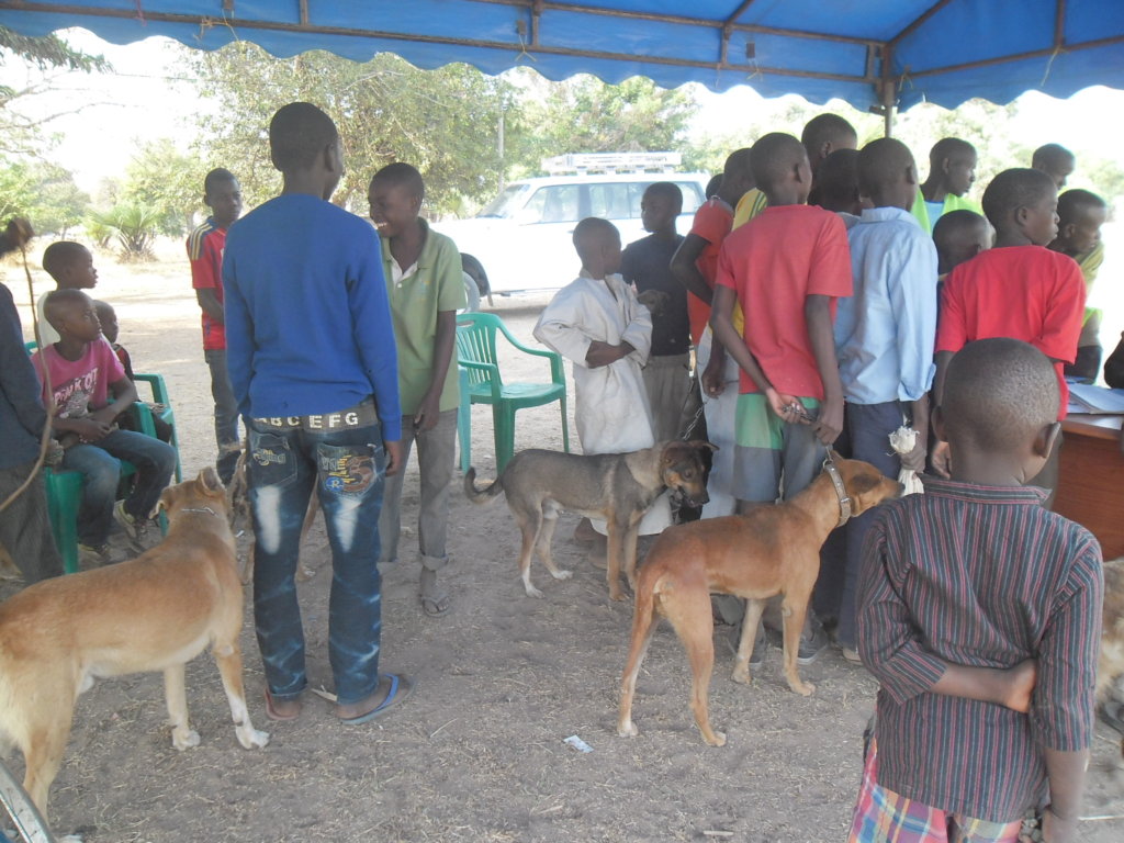 Children Against Rabies Disease - GlobalGiving
